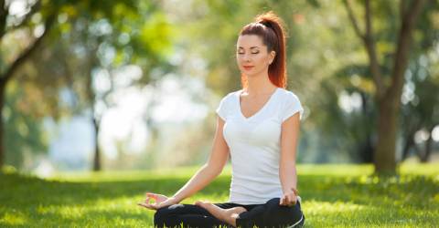 Where to get your zen on